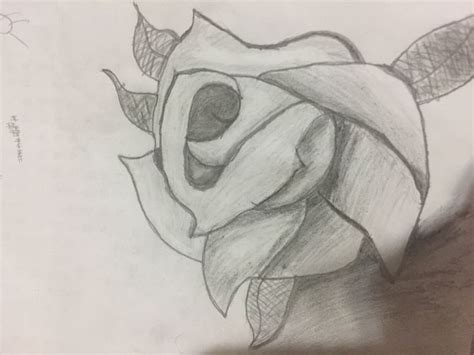 How To Draw A Shadow 13 Steps With Pictures WikiHow