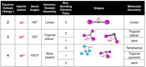 14 2 Hybridization Flashcards Quizlet