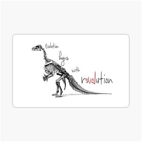 Evolution Sticker For Sale By Mirber Redbubble