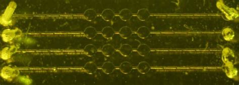 Photograph Of Aptamer Based Microfluidic Chip Download Scientific Diagram
