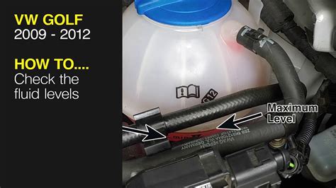 Vw Golf Transmission Fluid Cost At Logan Newbigin Blog