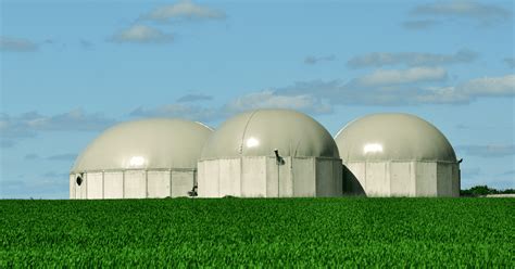 Iron Oxide Vs Iron Hydroxide Which Is Better For Biogas