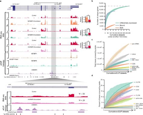 Integrative Analysis Of Rbp Binding And Function A Combinatorial