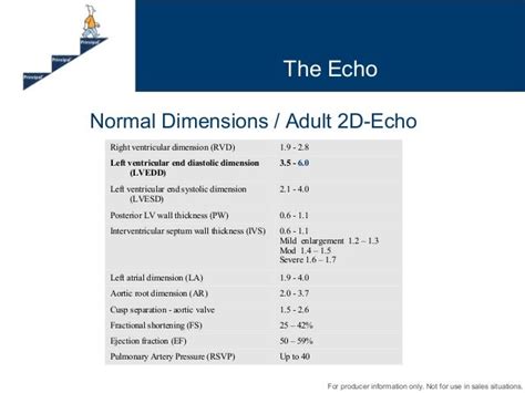 Lv Wall Thickness Echo Measurement