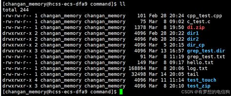 【linux我做主】文件权限完全指南填补你的知识盲区 Csdn博客