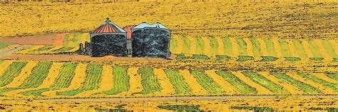 Windrows Art Fine Art America