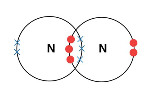 Ci1 Nitrogen Chemistry Flashcards Quizlet