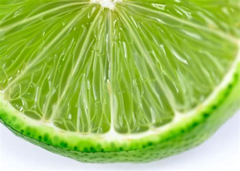 Lime Ai Stock Illustration Illustration Of Citrus Macro 282435695 Lime Ai Stock Illustration Illustration Of Citrus Macro 282435695