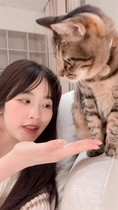 有握但不多。 （他真的會握手只是看他心情，或要有吃的。）