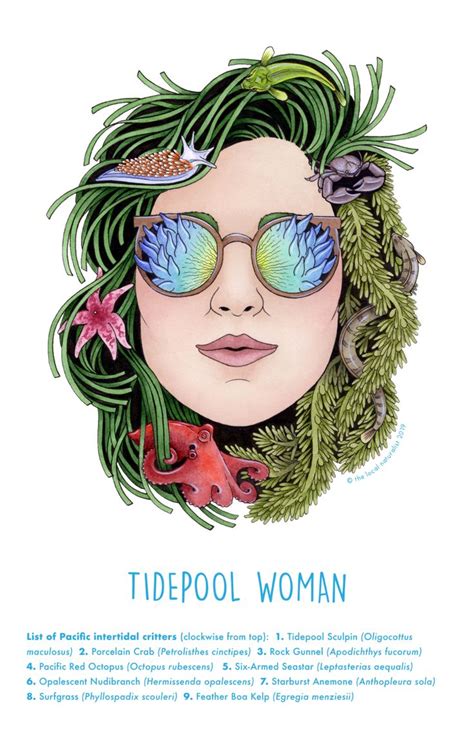 Science Illustration — Andrea Dingeldein Women Poster Tide Pools