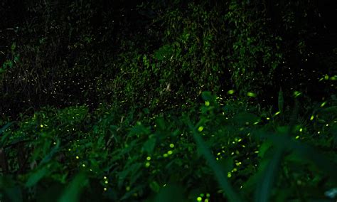 Linux Kill指令砍掉關鍵程式 Quanto Blog