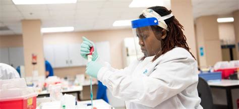 Medical Laboratory Technology Health And Public Services Health And Public Services