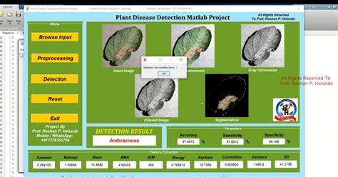 Plant Disease Detection Using Image Processing Matlab Project Plant Leaf Disease