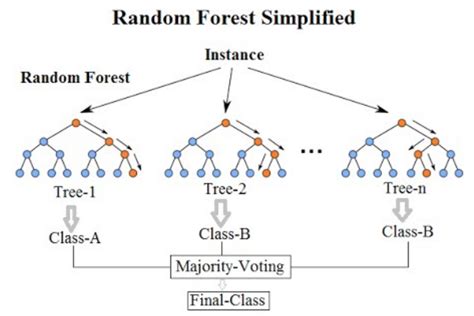 Python Random Forest Classifier Example