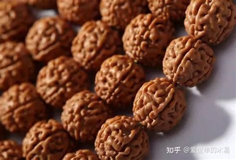 小金刚一代盘龙和二代盘龙怎么区分？ 知乎