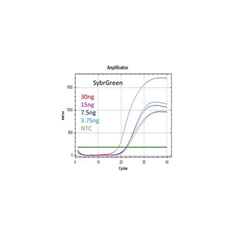G2p Sybr Green Rna And Rt Pcr Products Genetoprotein