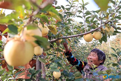 跟着墨子案头木鸢视角 打开山东好品版 完形填空” 新闻中心 东营网