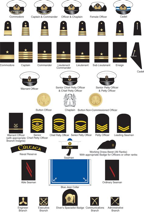 Navy Insignia Artofit