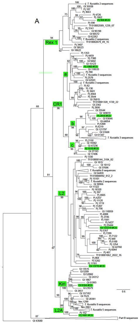 The Families Of Non Ltr Transposable Elements Within Neritimorpha And