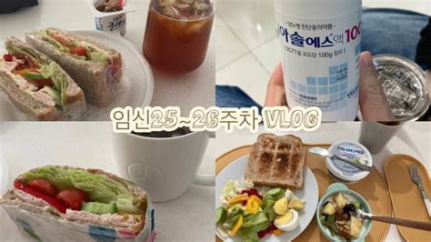 임산부vlog시선부부 임산부일상임당검사임당재검확정임산부브이로그출산예정일100일 기념일영상 Youtube