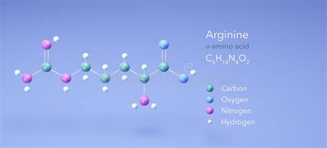 Arginine Molecule Structural Chemical Formula Ball And Stick Model Isolated Image Amino Acid