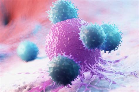 Nederlandse Vereniging Van Cytometrie Professionals Die Zich Met Cytometrie” Bezighouden