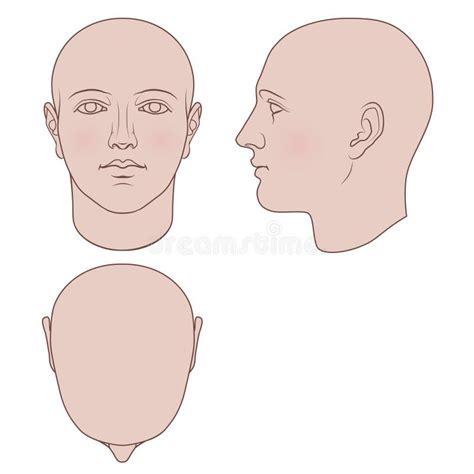 Clipart Human Head