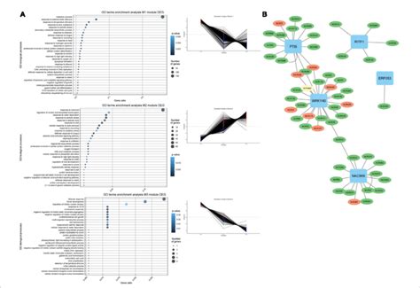 A Co Expression Gene Modules And Their Expression Pattern Identified