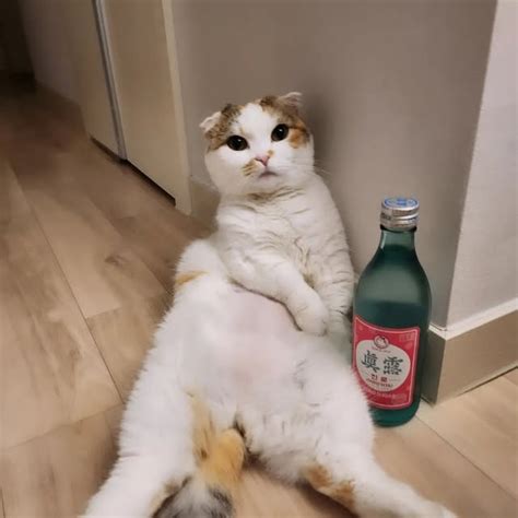 강지은 Candy12535 On Threads 강지은 Candy12535 On Threads