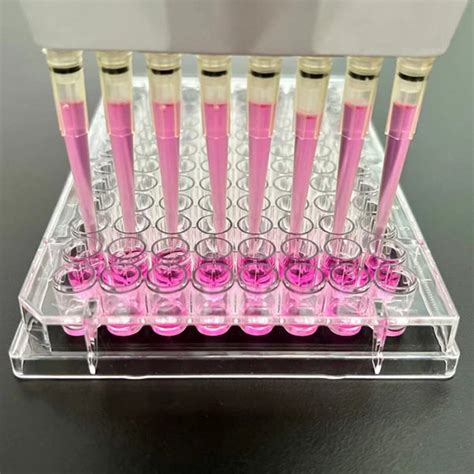 全人源化单克隆抗体 兔源单克隆抗体 鼠源单克隆抗体 上海新号源生物科技有限公司