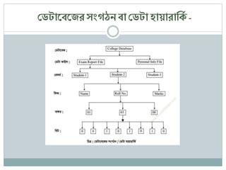 Database Overview In Bangla PPTX