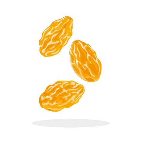 Vector Illustration Golden Raisins Isolated On White Background