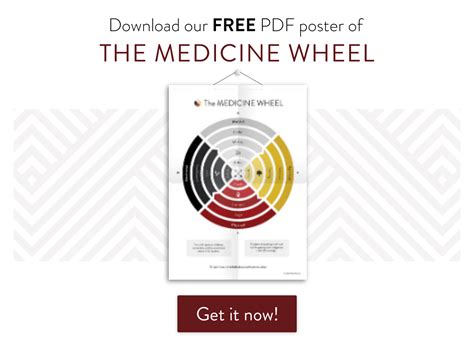 The Indigenous Medicine Wheel ⚫️⚪️🟡🔴 Native Medicine Wheel Explained