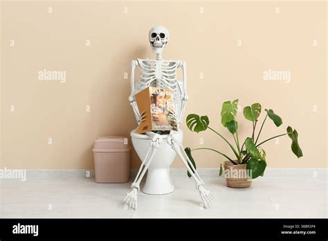 Human Skeleton With Magazine Sitting On Toilet Bowl In Restroom Stock