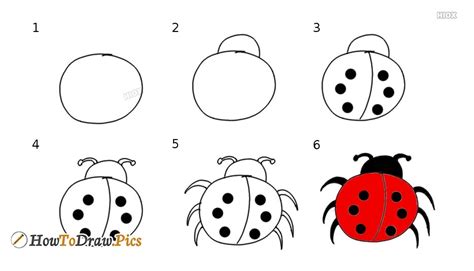 9 Easy Ladybug Drawing Ideas Drawing Photos