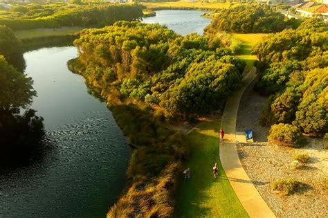 David Openshaw Drone Controller