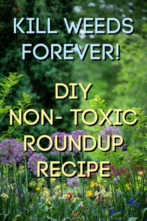 How To Permanently Kill Grass And Weeds With Salt Vinegar And Dawn