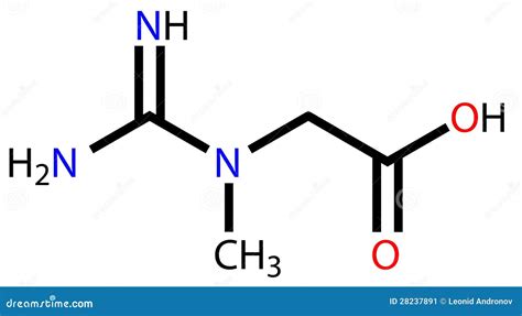 De Structurele Formule Van De Creatine Stock Illustratie Illustration