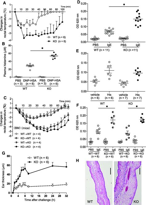Enhanced Passive Systemic And Cutaneous Anaphylaxis In Lmir3 Deficient