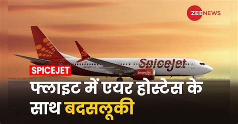 Passenger Misbehaves With Cabin Crew In Spicejet Flight Airline Ejects From Flight Spicejet