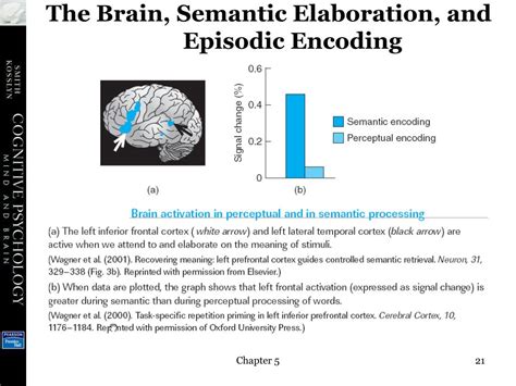 Ppt Encoding And Retrieval From Long Term Memory Powerpoint