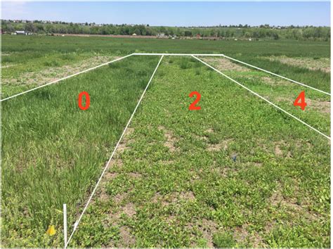 Photo Of The Study Site And The Large Experimental Plots Receiving 0
