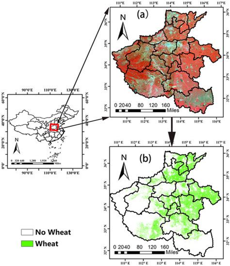Agriculture Free Full Text Winter Wheat Yield Prediction Using An Lstm Model From Modis Lai