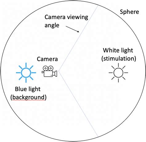 Scene Diagram Implemented In Unity 3d Download Scientific Diagram