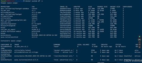 Docker 清理和查看镜像与容器占用情况如何查看镜像占了多少内存 Csdn博客 Docker 清理和查看镜像与容器占用情况如何查看镜像占了多少内存 Csdn博客