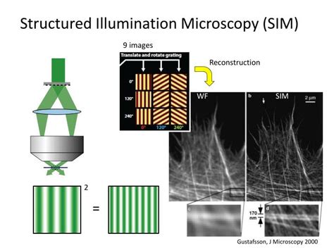 Ppt Super Resolution Optical Microscopy Powerpoint Presentation Id6265205