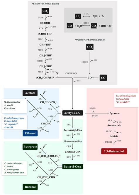 Application Of Nanoparticles In Bioreactors To Enhance Mass Transfer