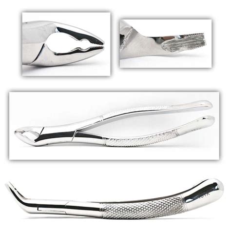 Simpson Extracting Forceps 15 17 090504 Millennium Surgical