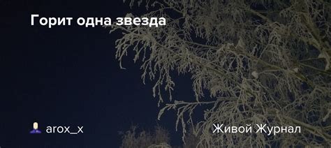 Горит одна звезда Aroxx — Livejournal
