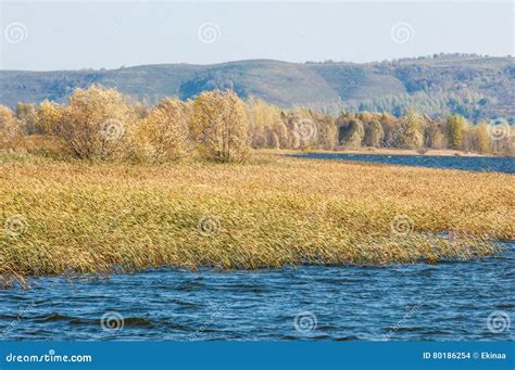 Fall River Autumn Colorful Foliage Over Lake With Beautiful Woo Stock